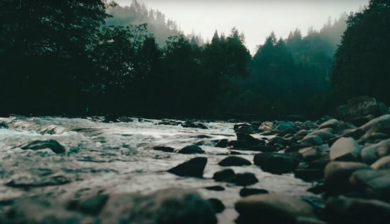 Best Suburbs Of Birmingham Alabama: Your Ultimate Guide